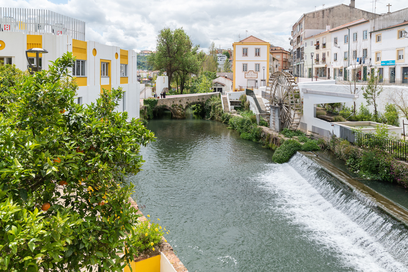 Torres Novas promove 1.ª Mostra de Sabores e Produtos do Território
